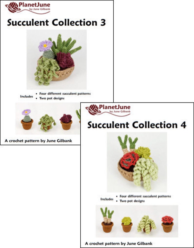 Succulent Collections 3 and 4 Eight Realistic Potted Plant - Etsy