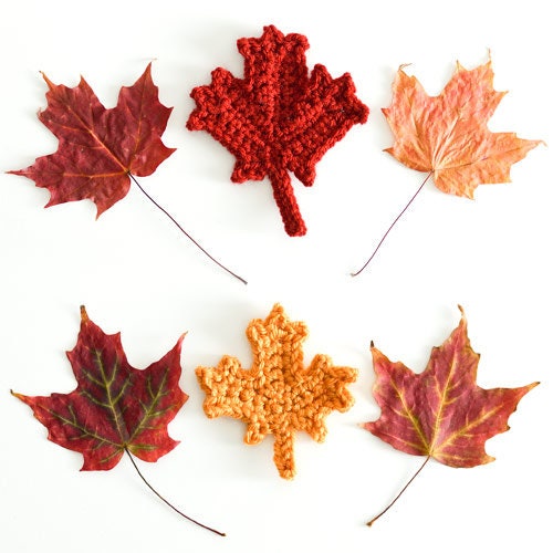 Maple Leaf Collection & Canadian Flag - Two Realistic Maple Leaves Plus ...