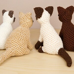 Special Deal - Amicats Collection 2 - Persian, Himalayan, Burmese ...