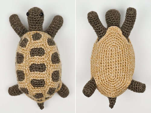 Tortoise and Simple-shell Tortoise Turtle & Terrapin Two - Etsy