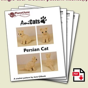 Special Deal - Amicats Collection 2 - Persian, Himalayan, Burmese ...