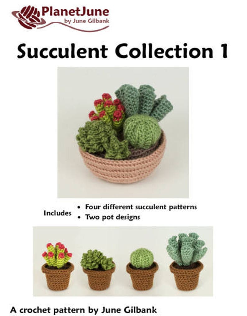 Succulent Collections 1 and 2 Eight Realistic Potted Plant - Etsy