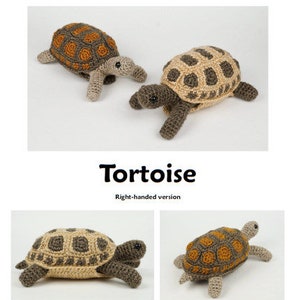 Tortoise and Simple-shell Tortoise, Turtle & Terrapin - Two Amigurumi ...