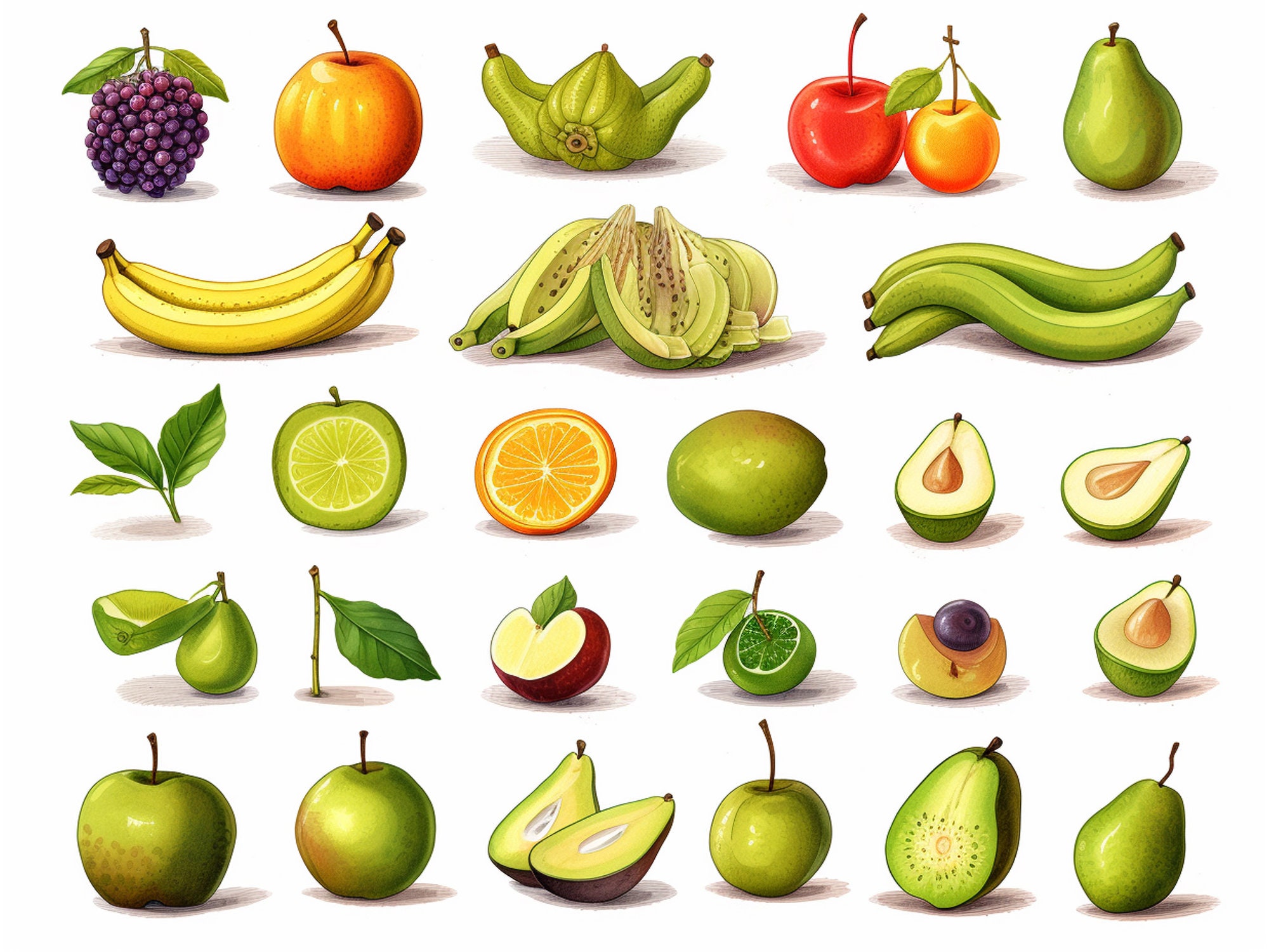 Fresh Tropical Fruits PNG Collection for Healthy Designs - Etsy
