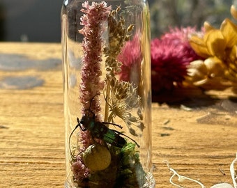 Insect Dome Handmade With Real Preserved Insect -green Jewel Beetle ...