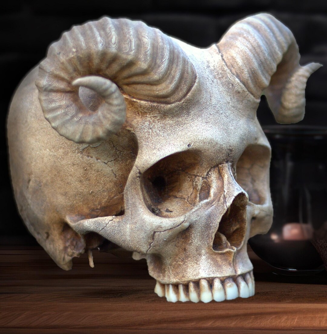 Full Size Human Skull Replica | Life Size Demon Skull With Horns ...