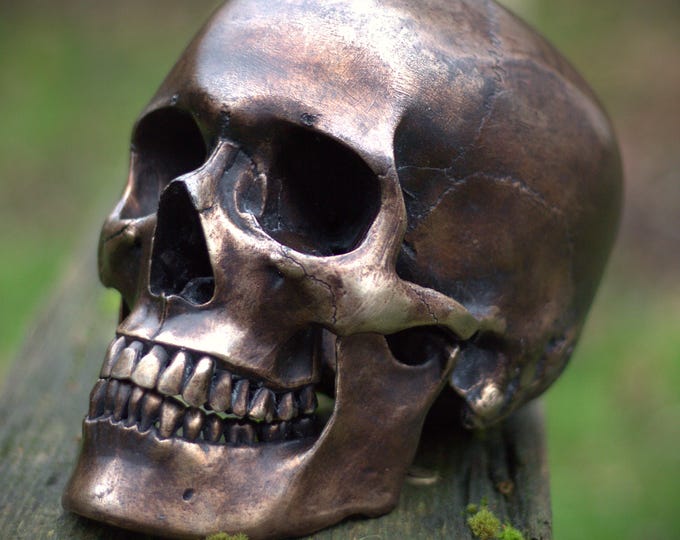 Life Size Human Skull Replica | Realistic Bronze Effect Ornament | Home ...