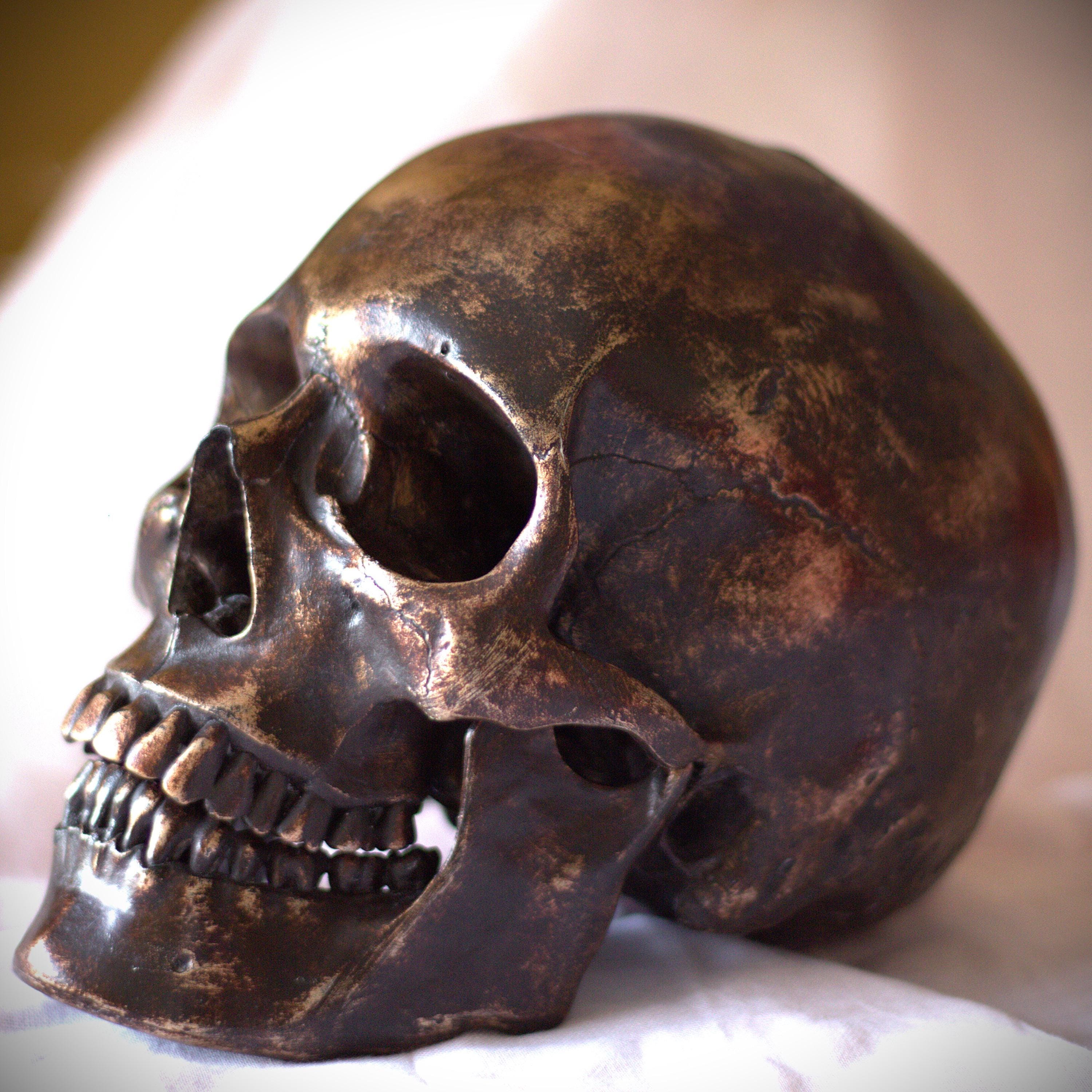 Full Size Human Skull Replica. Life Size Bronze Effect Human Skull ...