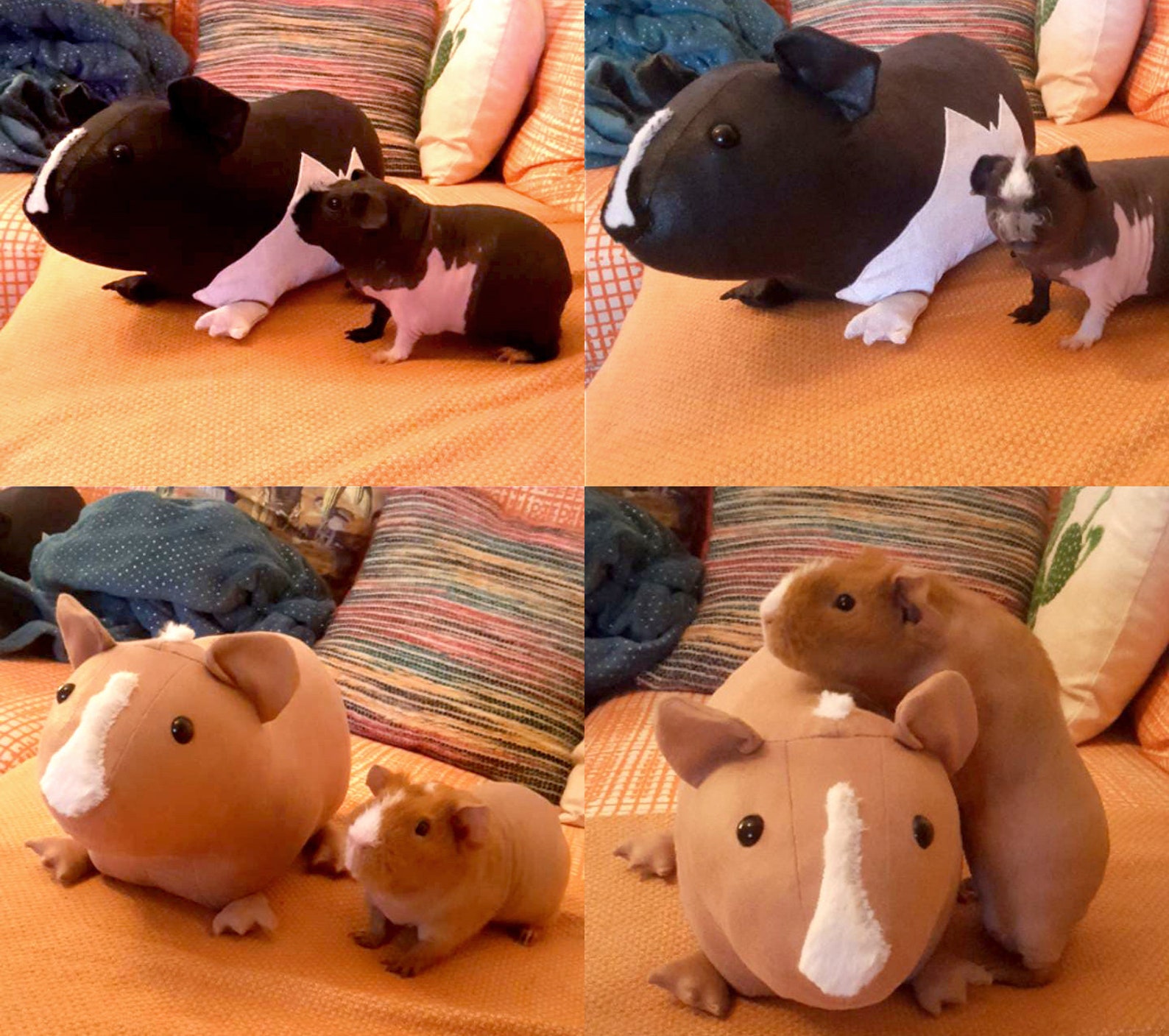 Guinea Pig Pattern PDF INSTANT DOWNLOAD - Etsy UK