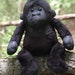 Gorilla Sewing Pattern PDF INSTANT DOWNLOAD - Etsy