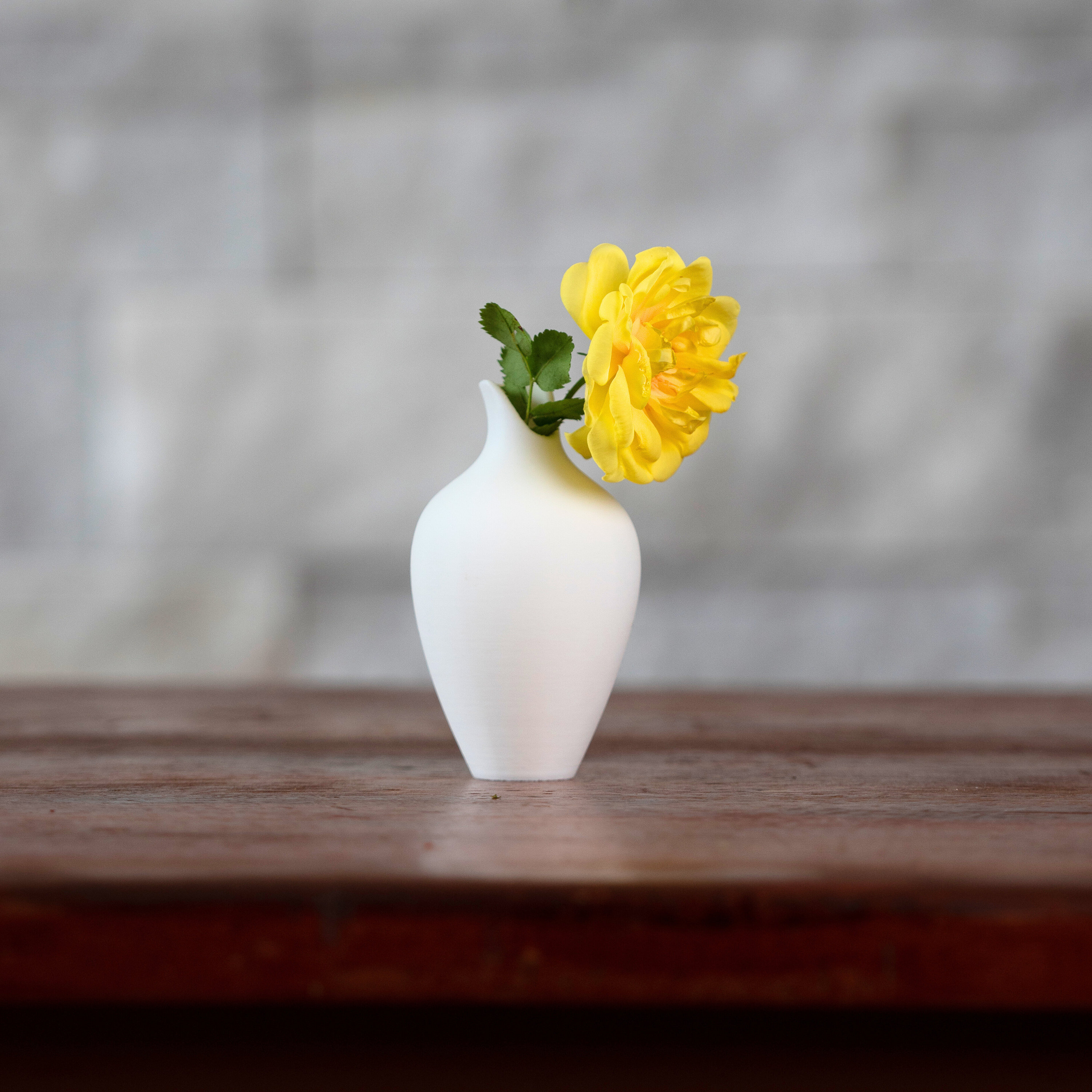 Mini Magnetic Vase for Refrigerator, 3D Printed Vase for Fresh or Dried ...
