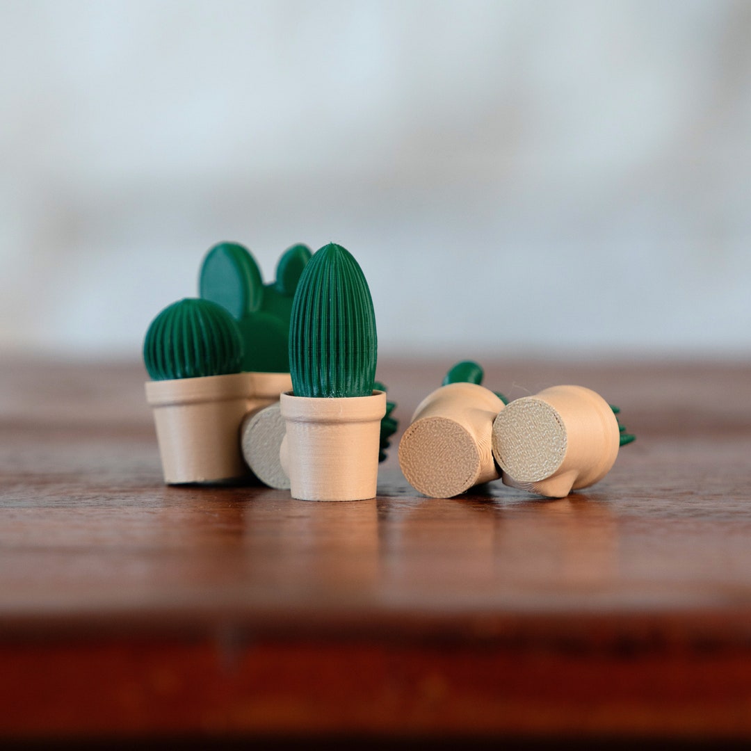 Mini Cactus Magnets for Refrigerator, 3D Printed Fridge Magnets for ...