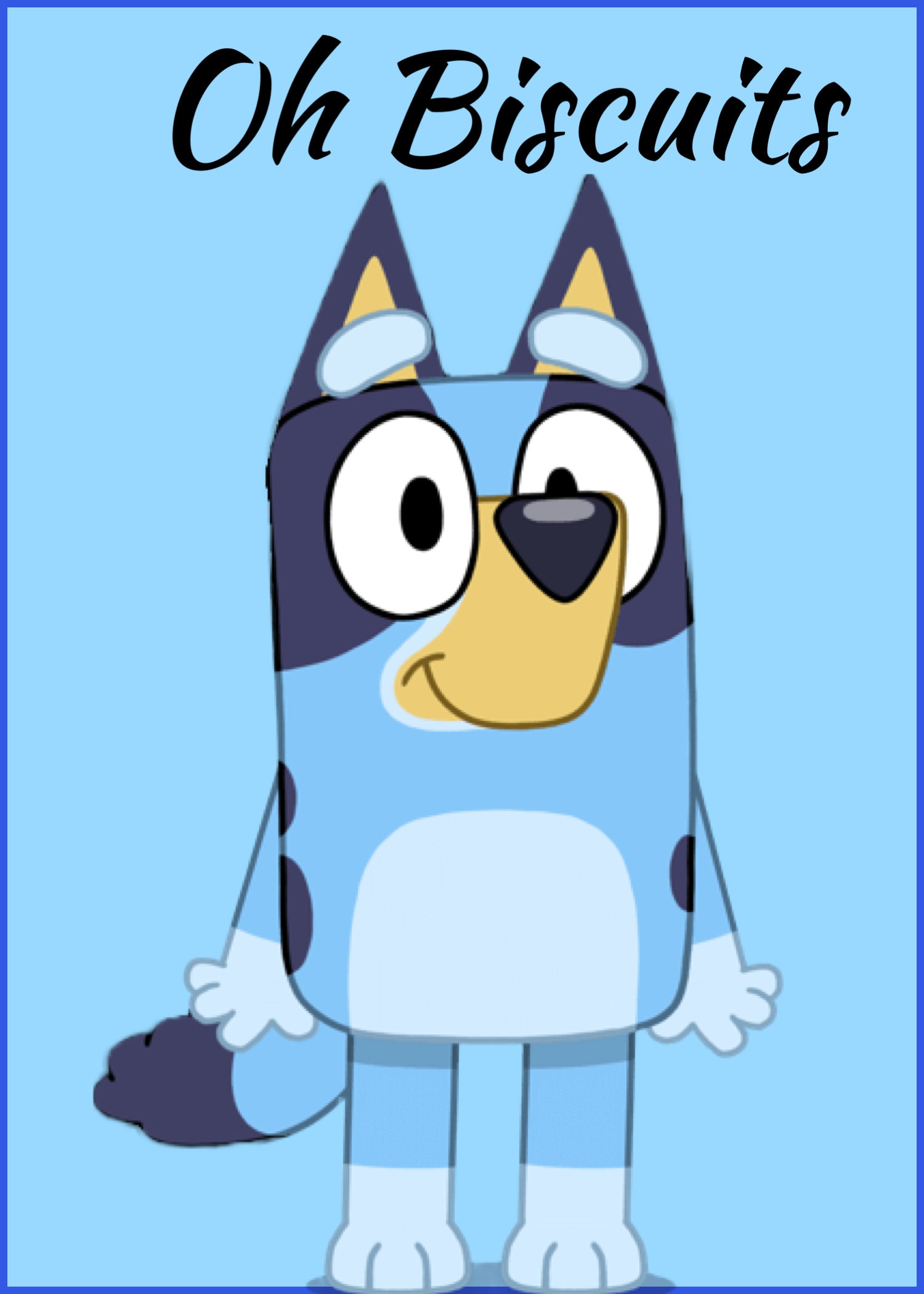 Bluey Party Favor Bundle - Etsy