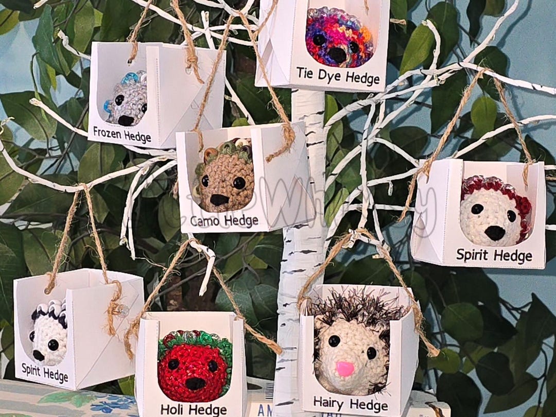 Custom Basket for Fidget Hedgehog - Etsy