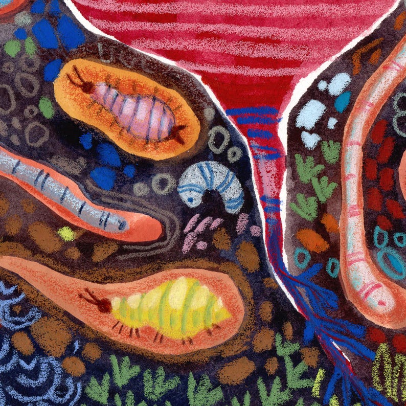 Folk Art Root Vegetable Print – Kitchen Garden Illustration - Etsy
