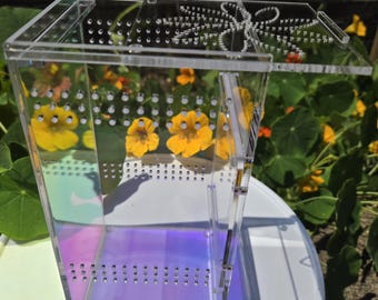 Demon Slayer Jumping Spider Enclosure - Jumping Spider Enclosure ...