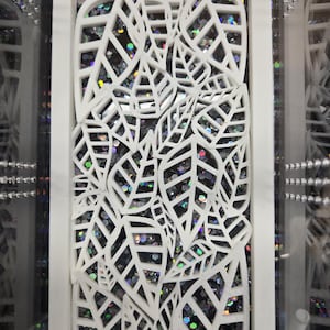 Magnetic Background Jumping Spider - Etsy