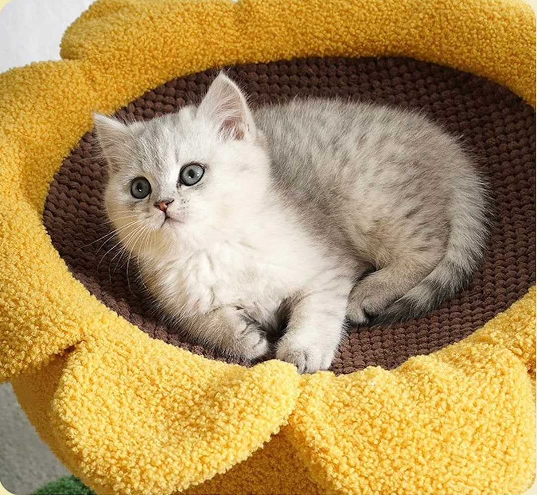 Sunflower Cat Treewooden Floral Cat Tower Sisal Rope for Column ...