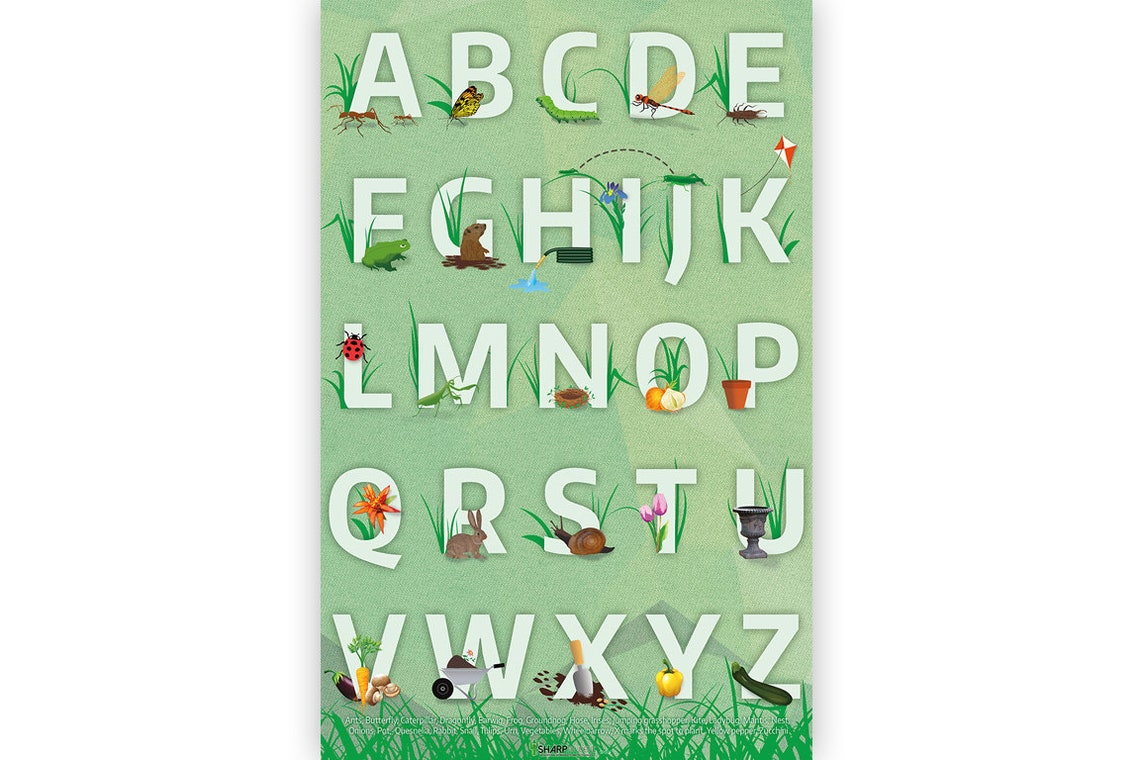 Garden Alphabet Letters Poster Educational Kids Bedroom, Classroom Bugs ...