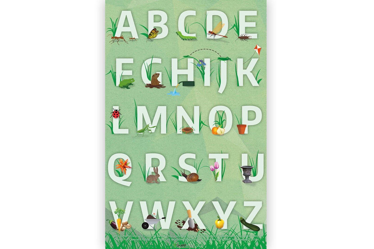Garden Alphabet Letters Poster Educational Kids Bedroom, Classroom Bugs ...