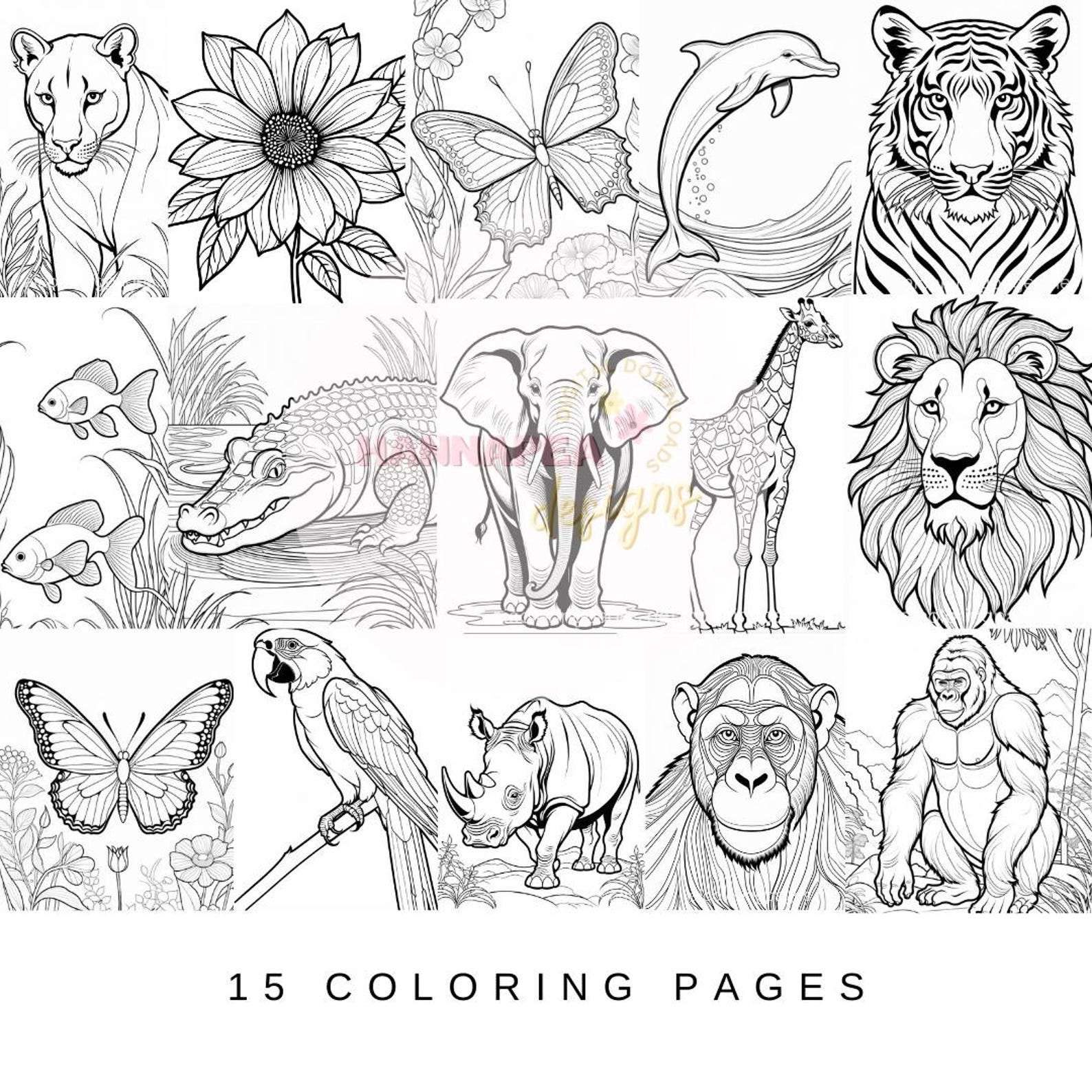 Nature Themed Coloring Pages | Adult’s Nature 15 Coloring Pages ...