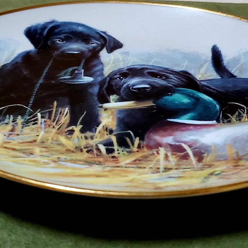 Dog Collector Plates - Etsy