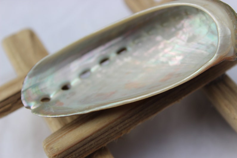 Hand-crafted Shaman Smudging Fan & Abalone Shell With Driftwood Stand ...