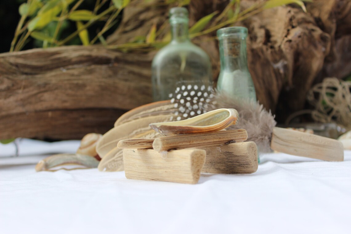 Hand-crafted Shaman Smudging Fan & Abalone Shell With Driftwood Stand ...
