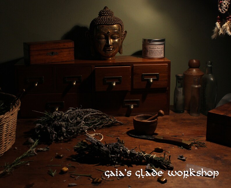 Hand-crafted Shaman Smudging Fan & Abalone Shell With Driftwood Stand ...