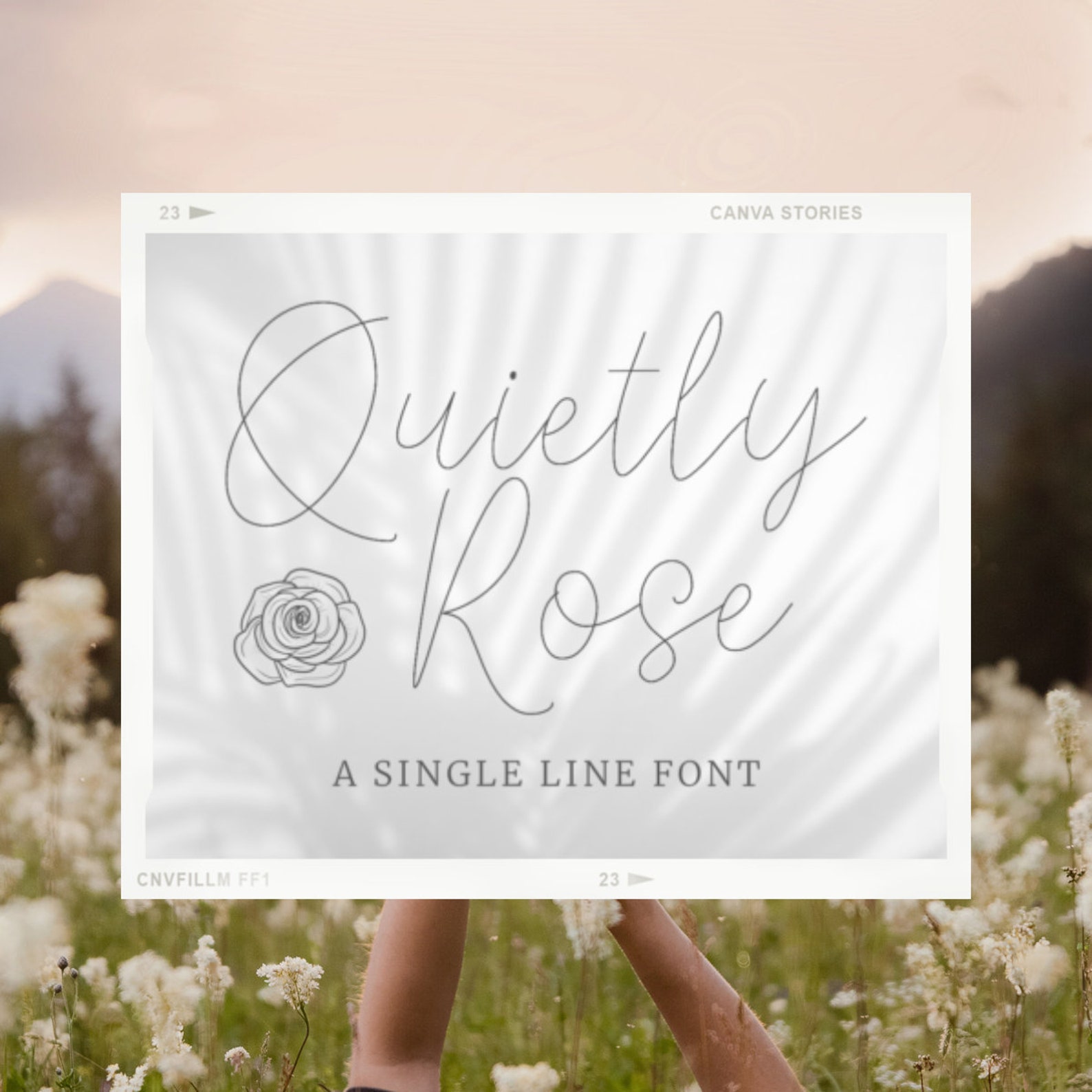 Quietly Rose Font Elegant Stylist Font, Signature Font, Custom Font ...