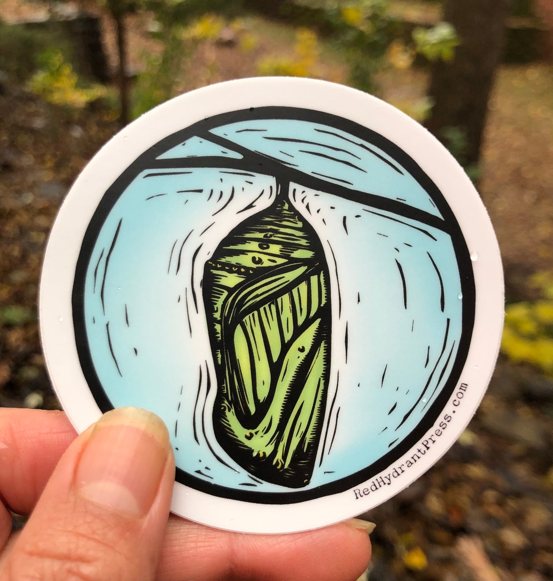 Monarch Chrysalis Butterfly Sticker - Etsy