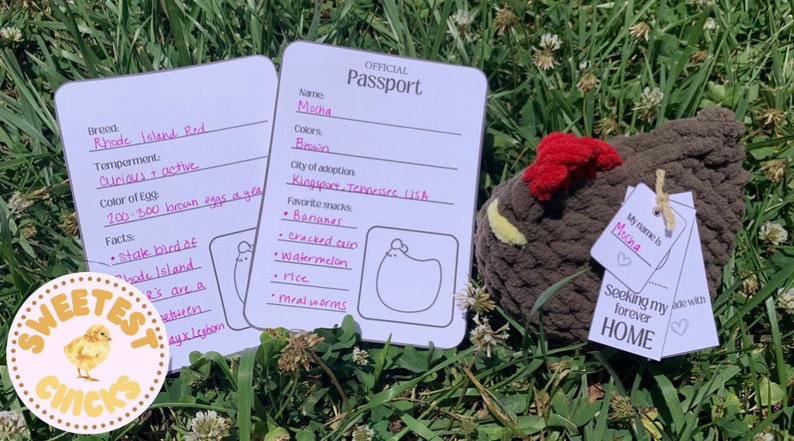 Adopt Your Own Crochet Mini Hen, Knitted Crochet Chicken, Adoption for ...