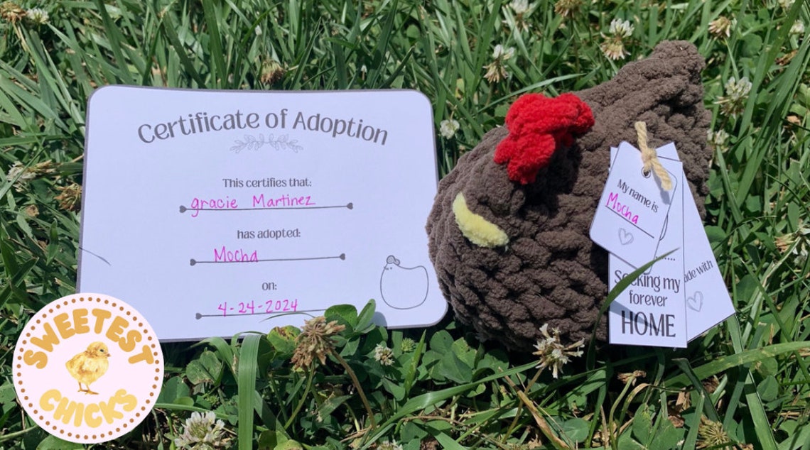Adopt Your Own Crochet Mini Hen, Knitted Crochet Chicken, Adoption for ...