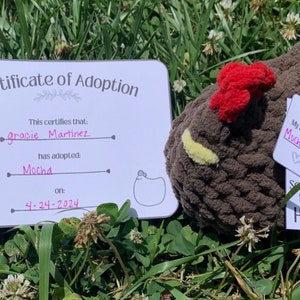 Adopt Your Own Crochet Mini Hen, Knitted Crochet Chicken, Adoption for ...