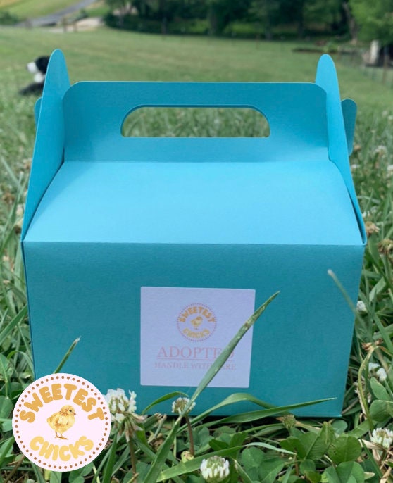 Adopt Your Own Crochet Mini Hen, Knitted Crochet Chicken, Adoption for ...