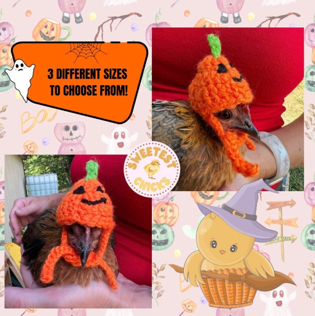 Hand Crocheted Pumpkin Jack O Lantern Hat 3 Sizes Available Bantam ...