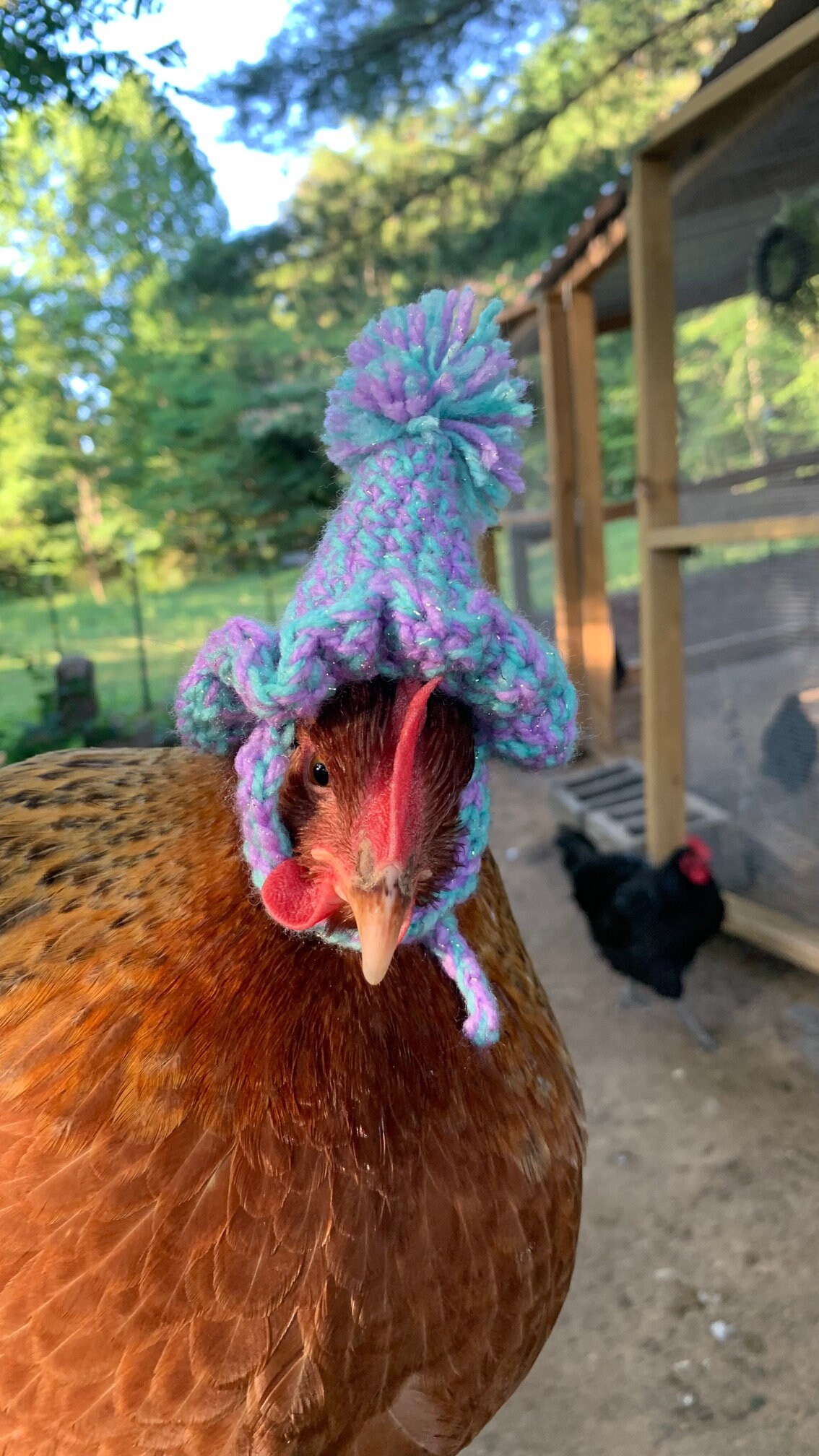 Crochet Chicken Duck Birthday Hat W/ Ruffle and Pom Pom, Poultry ...