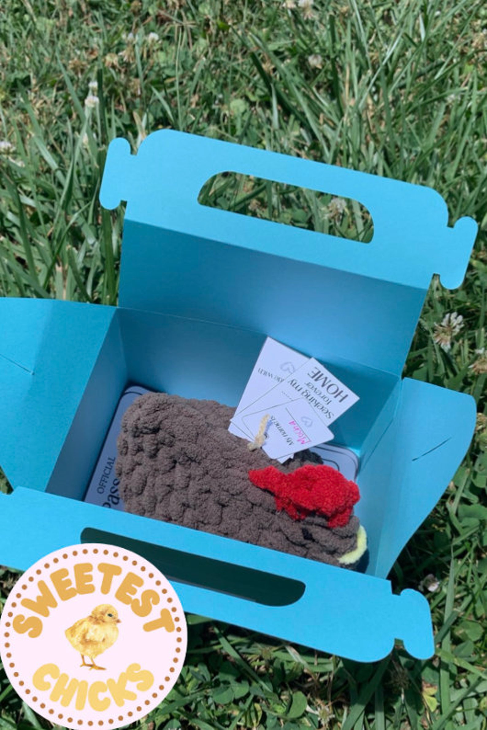 Adopt Your Own Crochet Mini Hen, Knitted Crochet Chicken, Adoption for ...