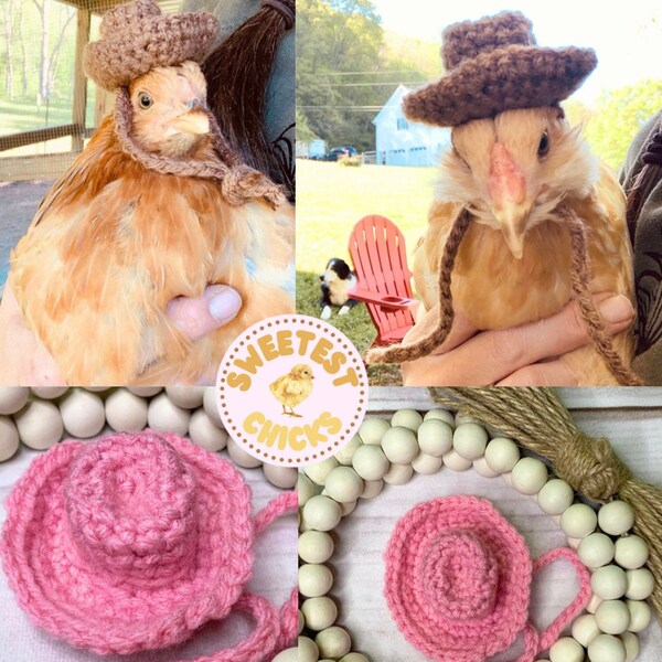 Chicken in Cowboy Hat - Etsy