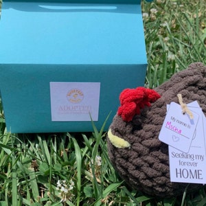 Adopt Your Own Crochet Mini Hen, Knitted Crochet Chicken, Adoption for ...