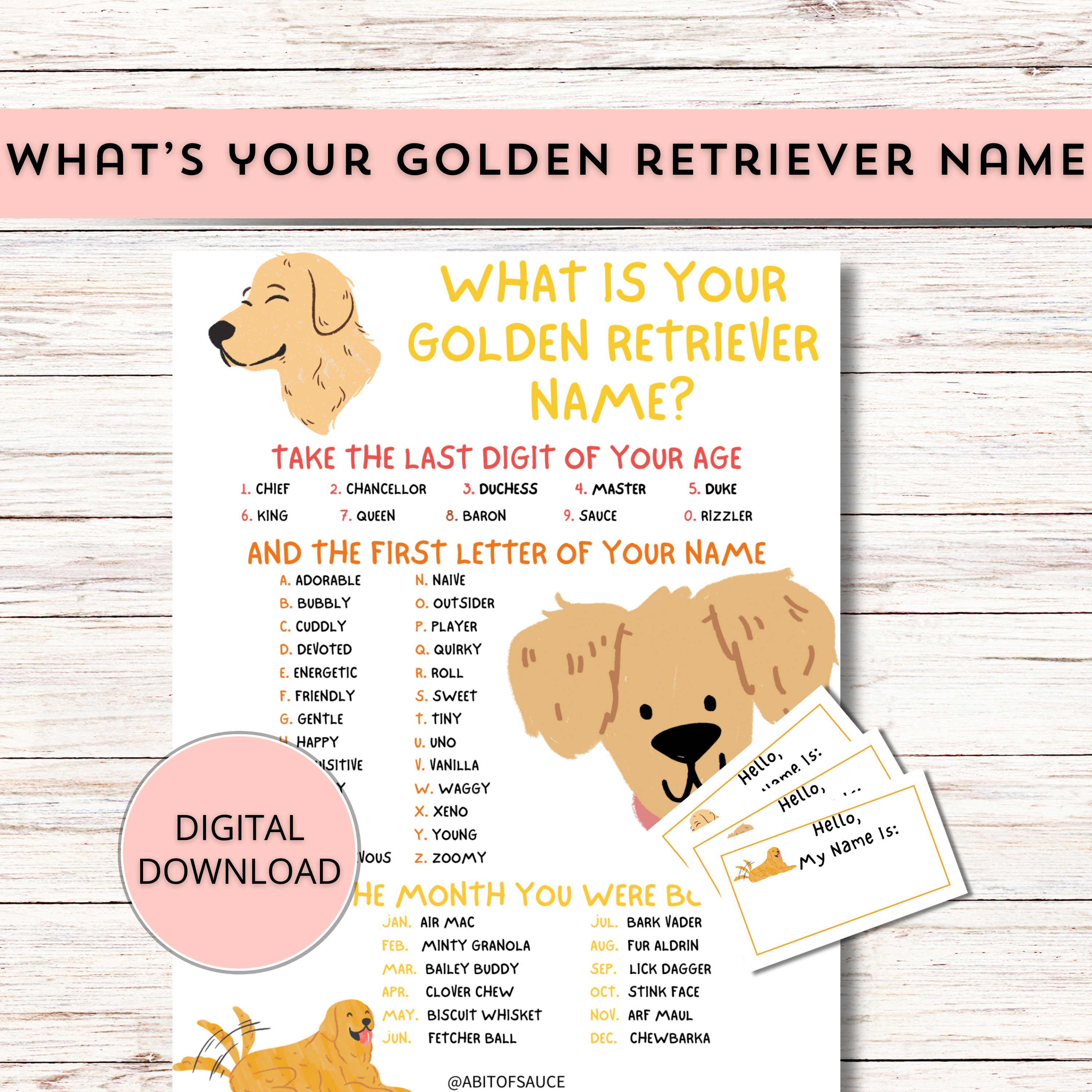 Whats Your Name Game, Whats Your Name, Name Generator, Hello My Name Is ...