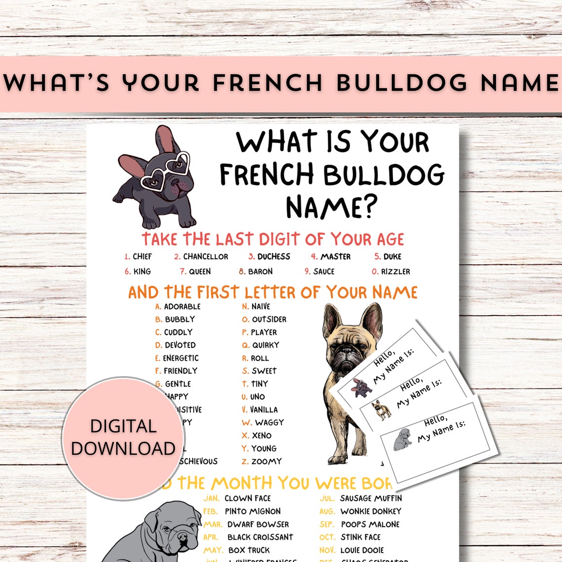 Whats Your Name Game, Whats Your Name, Name Generator, Hello My Name Is ...
