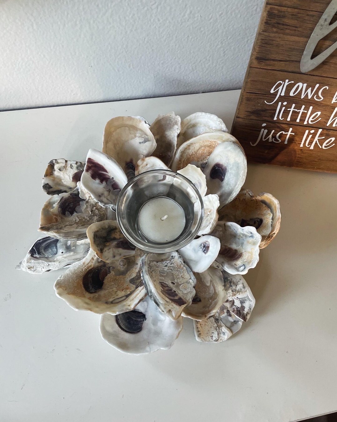 Oyster Shell Candle Holder - Etsy