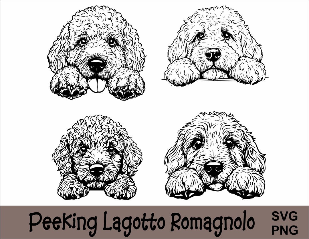 Peeking Lagotto Romagnolo SVG and PNG Bundle Peeking Paws, Dog Breed K ...
