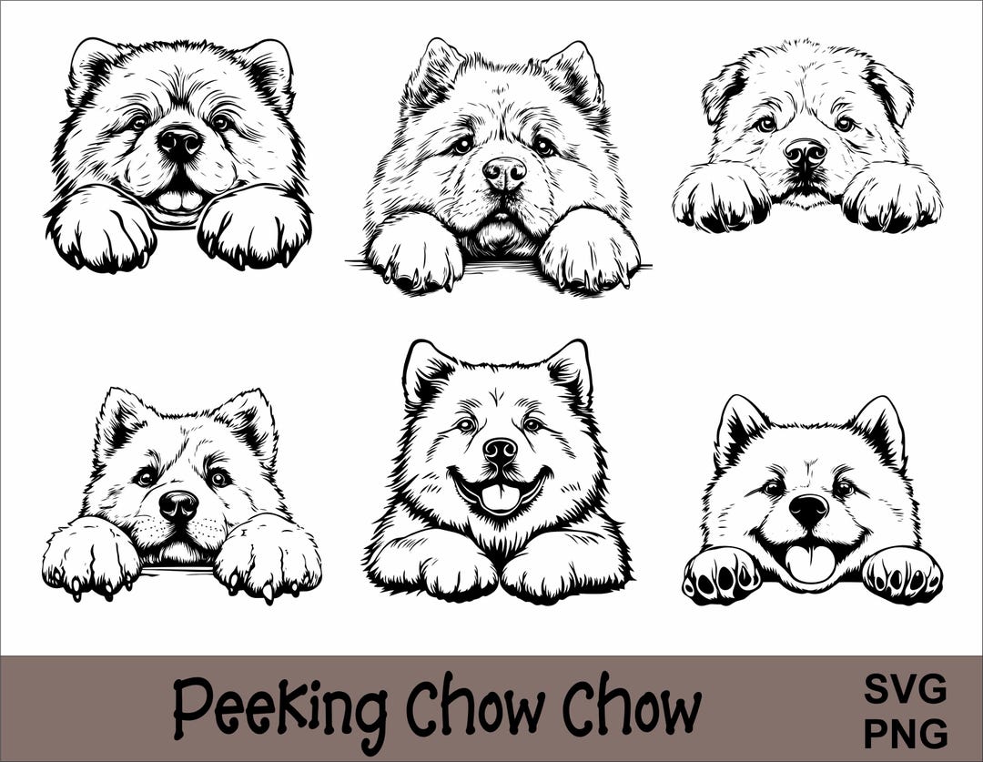 Peeking Chow Chow SVG and PNG Bundle Peeking Paws Dog Breed K-9 Animal ...