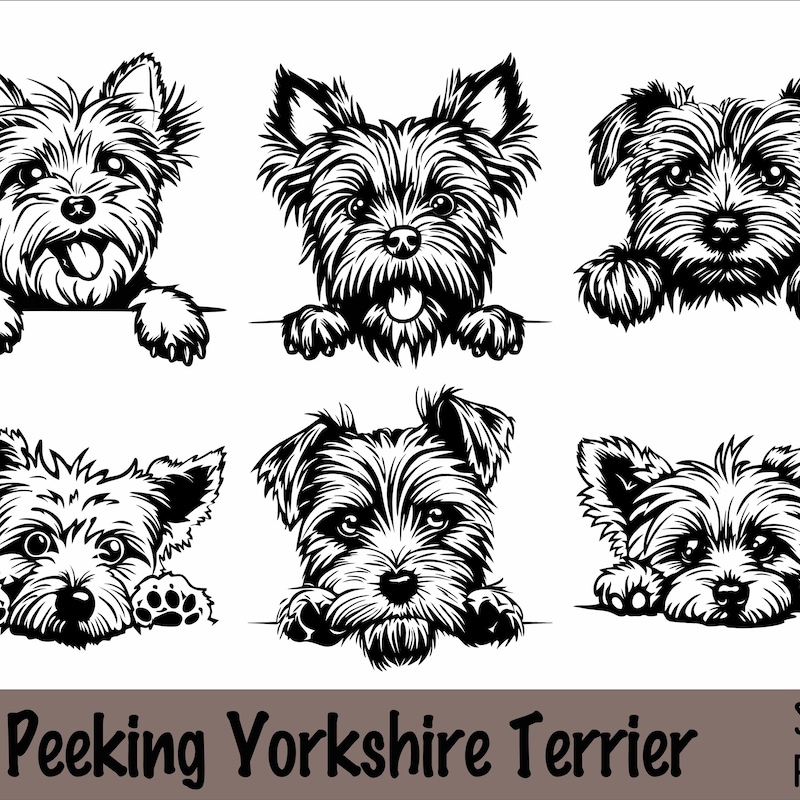 Yorkie Peeking Svg - Etsy