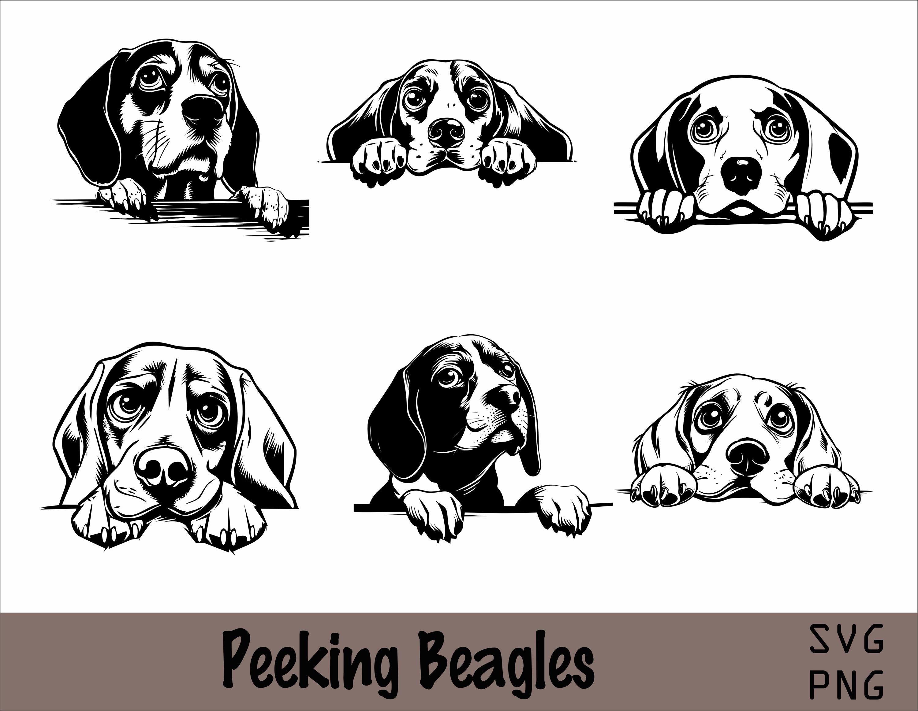 Peeking Beagle SVG and PNG Bundle Peeking Paws, Dog Breed K-9 Animal ...