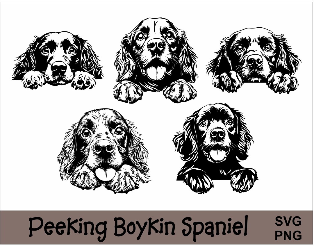 Peeking Boykin Spaniel SVG and PNG Bundle Peeking Paws, Dog Breed K-9 ...
