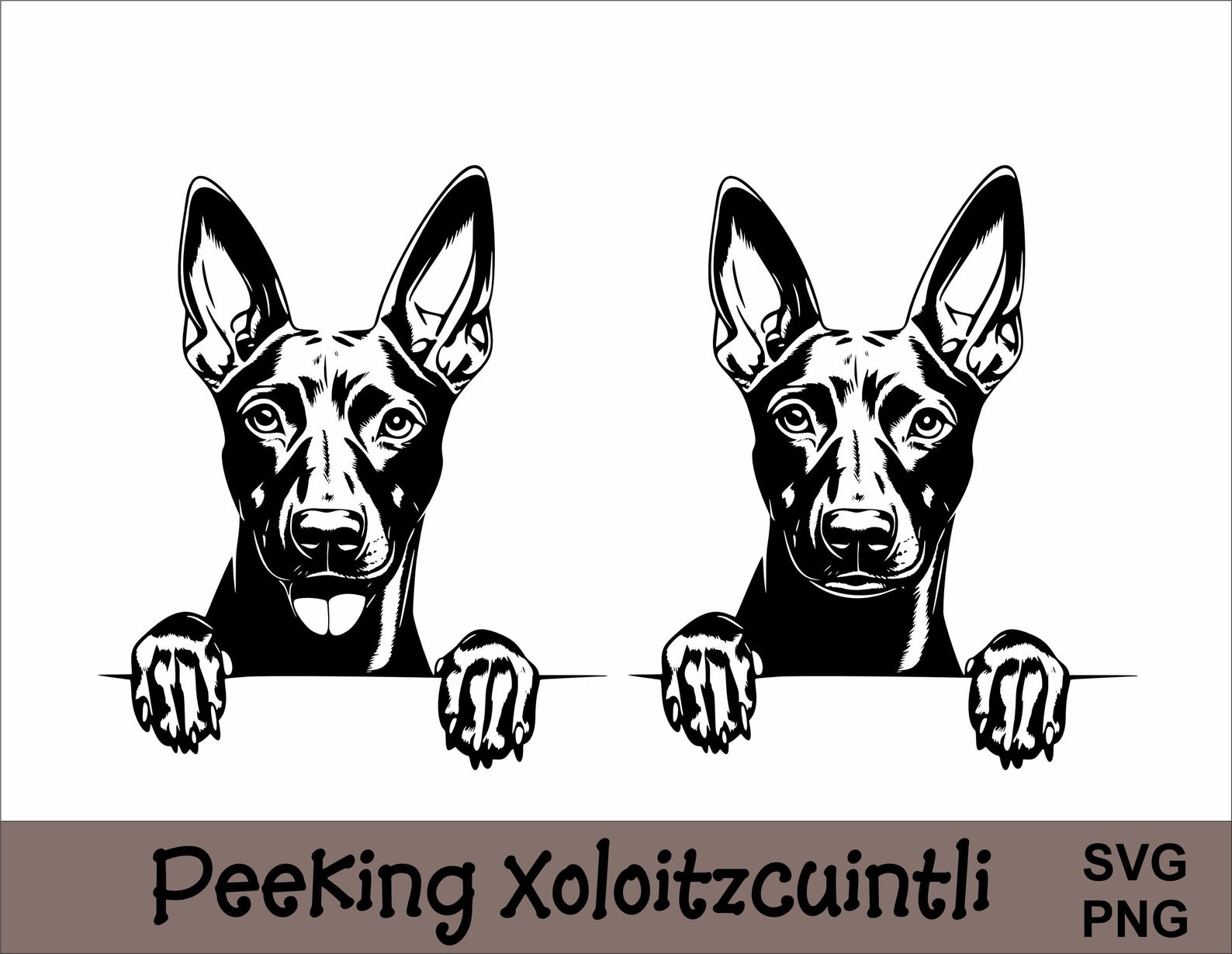 Peeking Xoloitzcuintli SVG and PNG Bundle Peeking Paws, Dog Breed K-9 ...