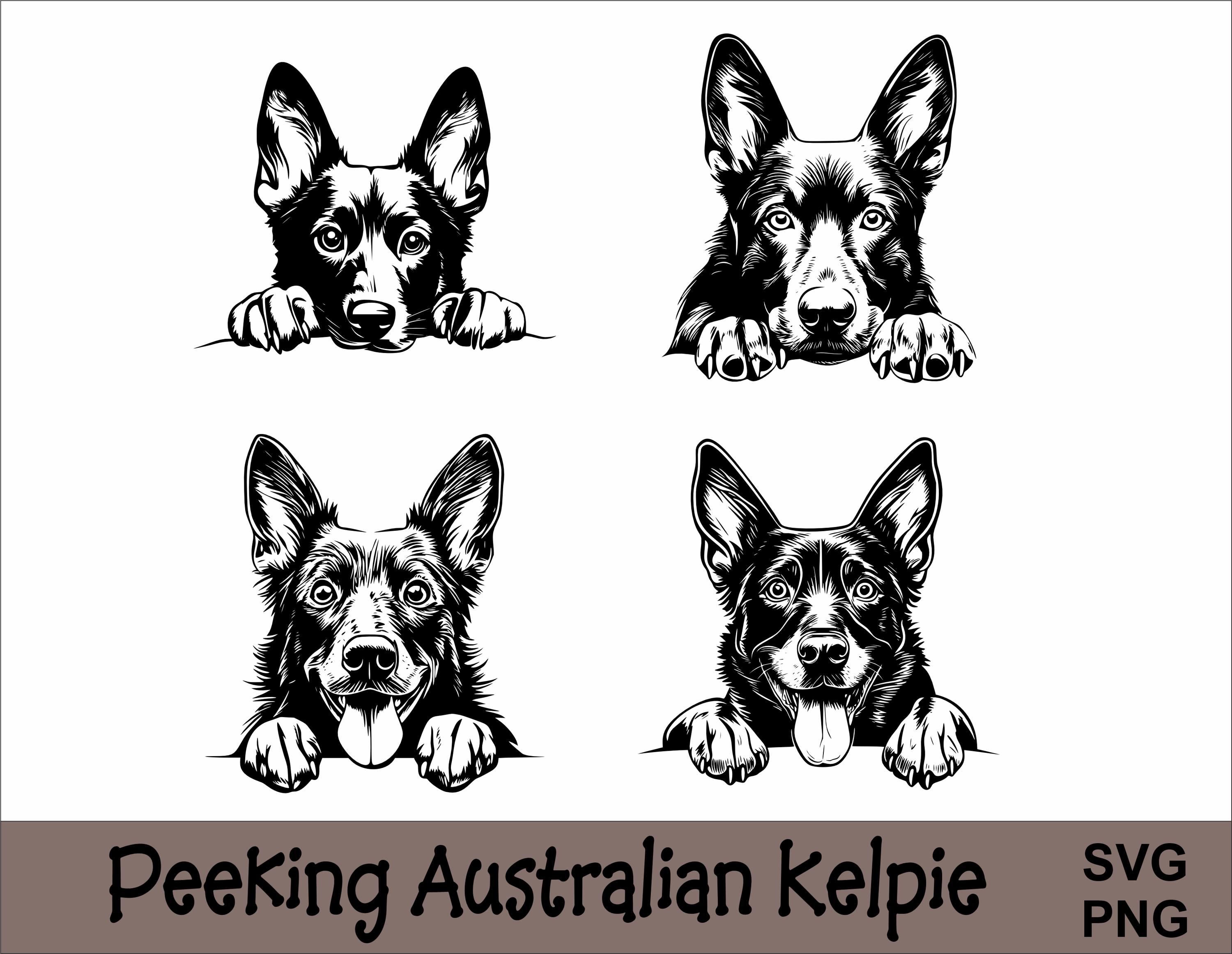 Peeking Australian Kelpie SVG and PNG Bundle Peeking Paws, Dog Breed K ...